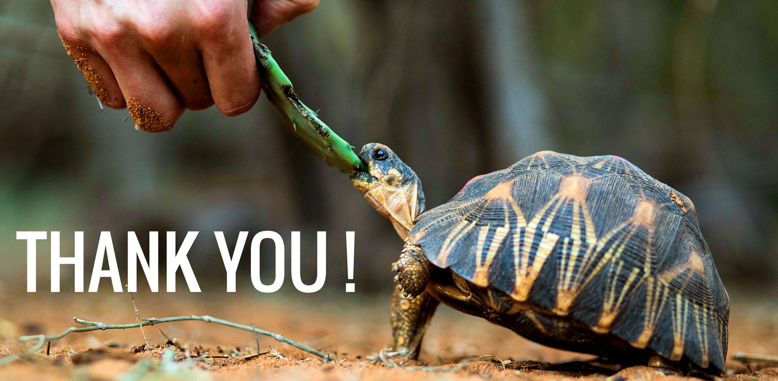 Thank you - Turtle Sanctuary Conservation Center