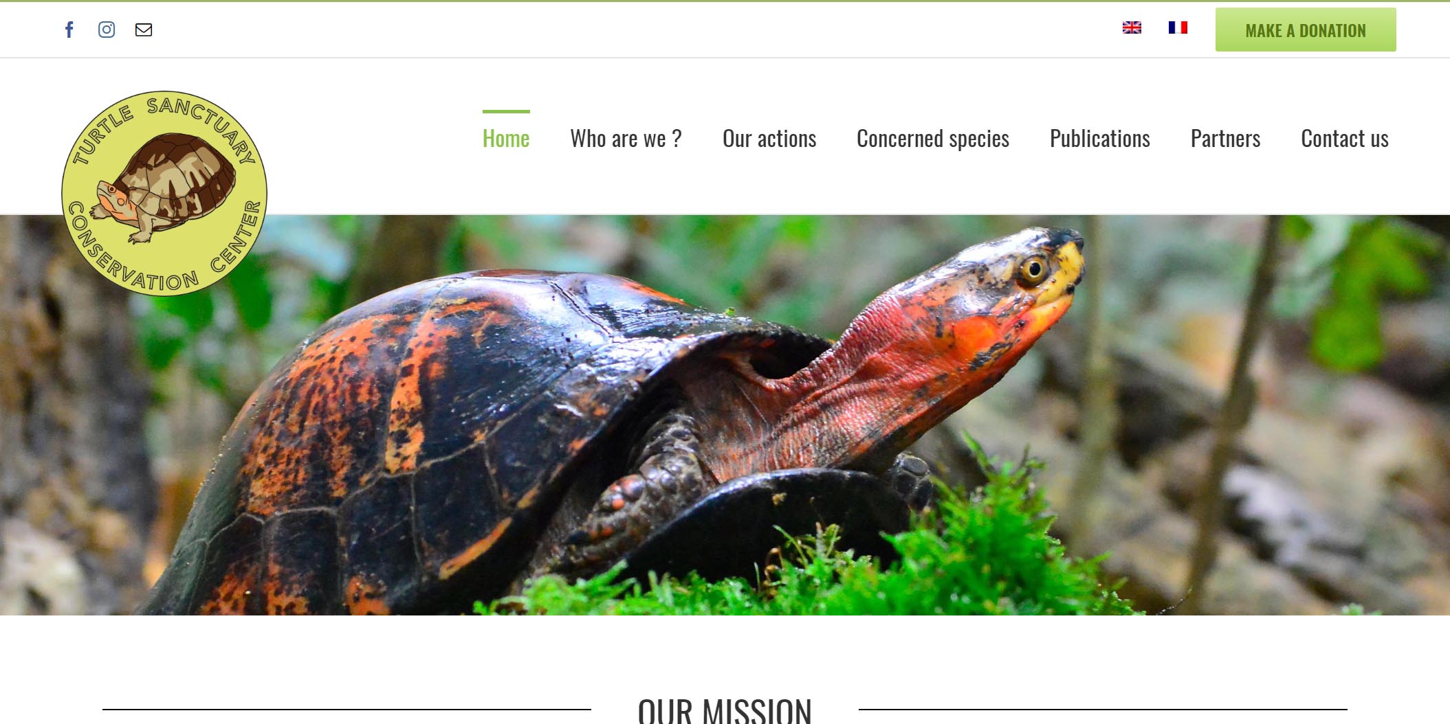 Rafetus swinhoei - Turtle Sanctuary Conservation Center